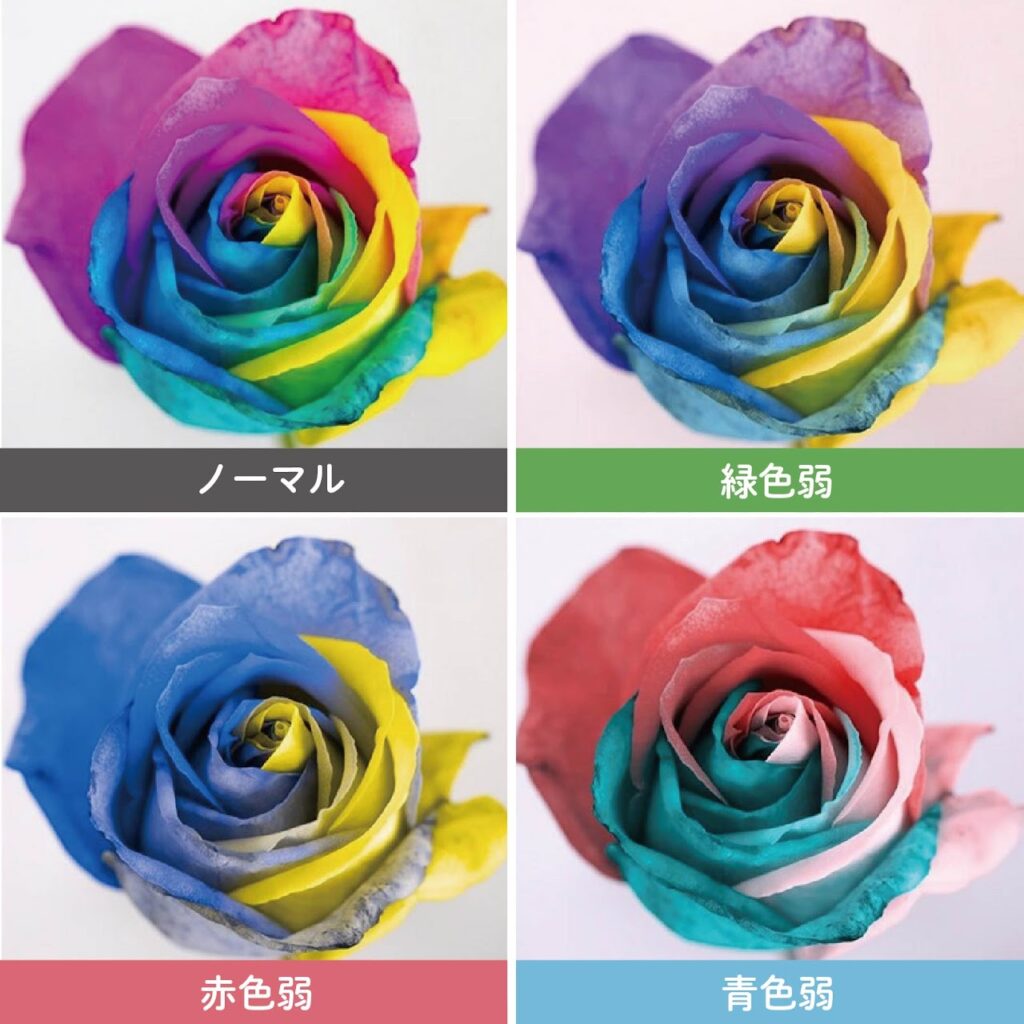 NEWS ｜日本電子専門学校